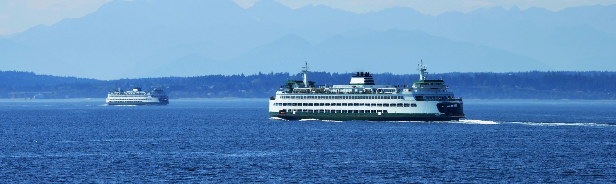 School of Marine and Environmental Affairs