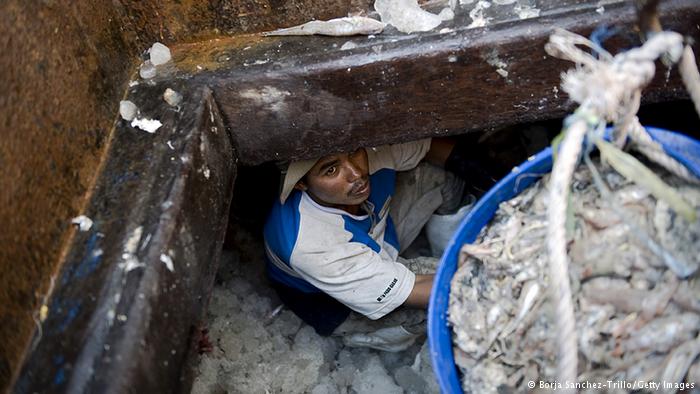 Fish Sticks and Fair Trade: The next step in seafood labeling