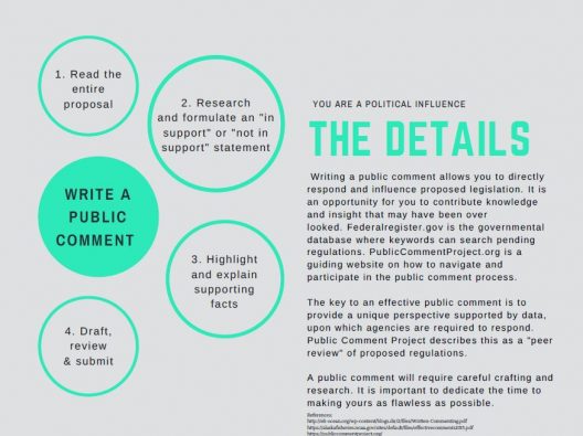 How to be a political influence – as an average citizen