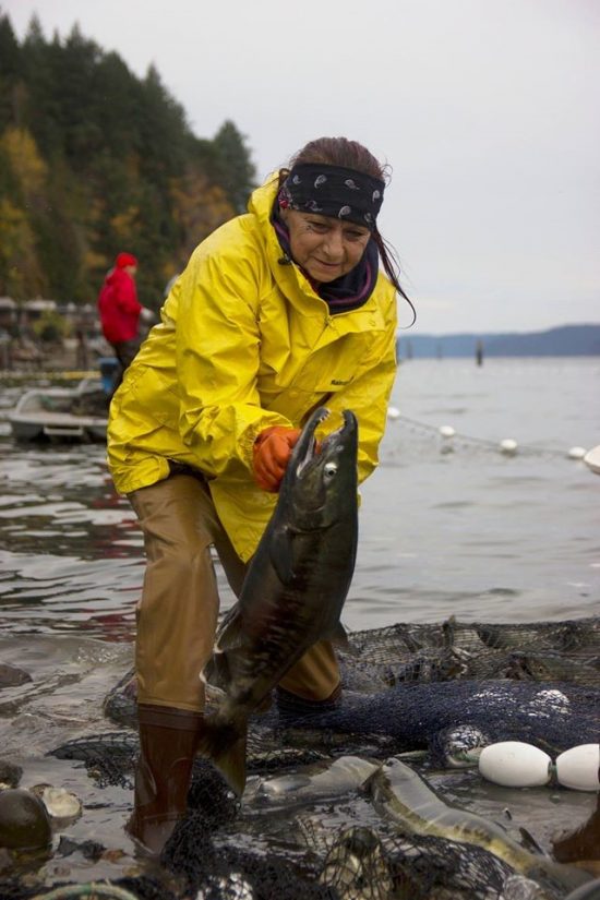 Tribes lead the way to revive regional salmon runs
