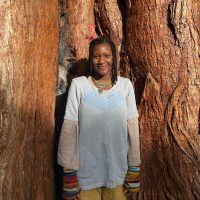 School of Marine and Environmental Affairs