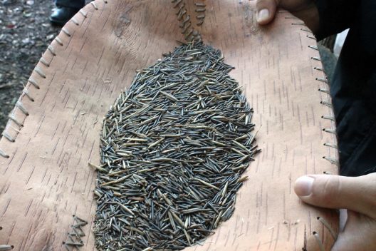 An exploration into Anishinaabe food systems – Featuring an adaptation ...