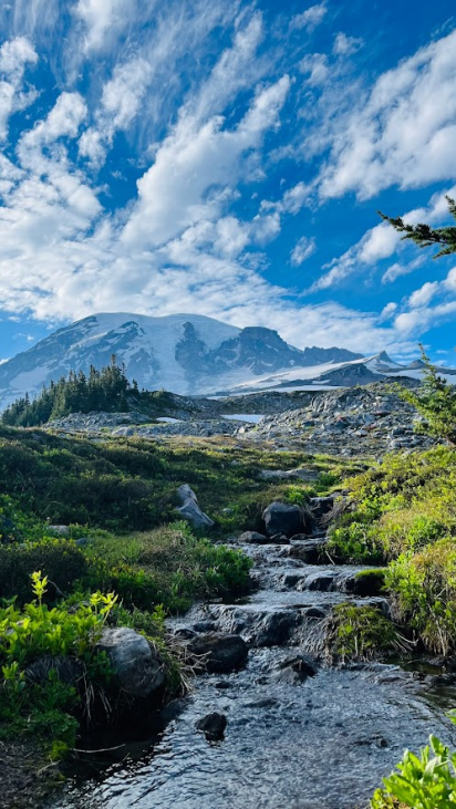 The power of nature in fostering connectedness and bolstering mental health