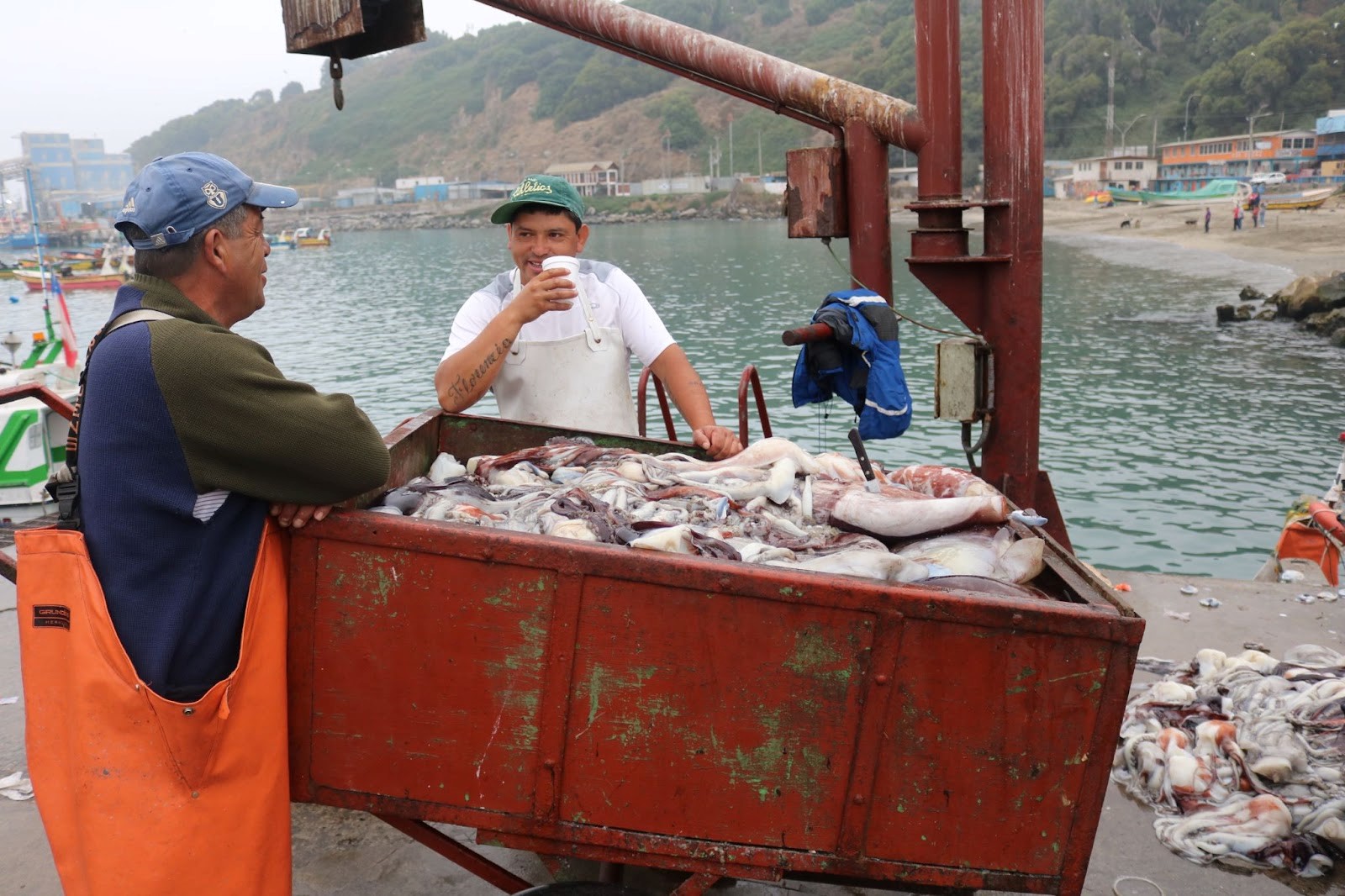 Home TURF: Successful Co-Management of Chilean Fisheries by Chilean Fishers