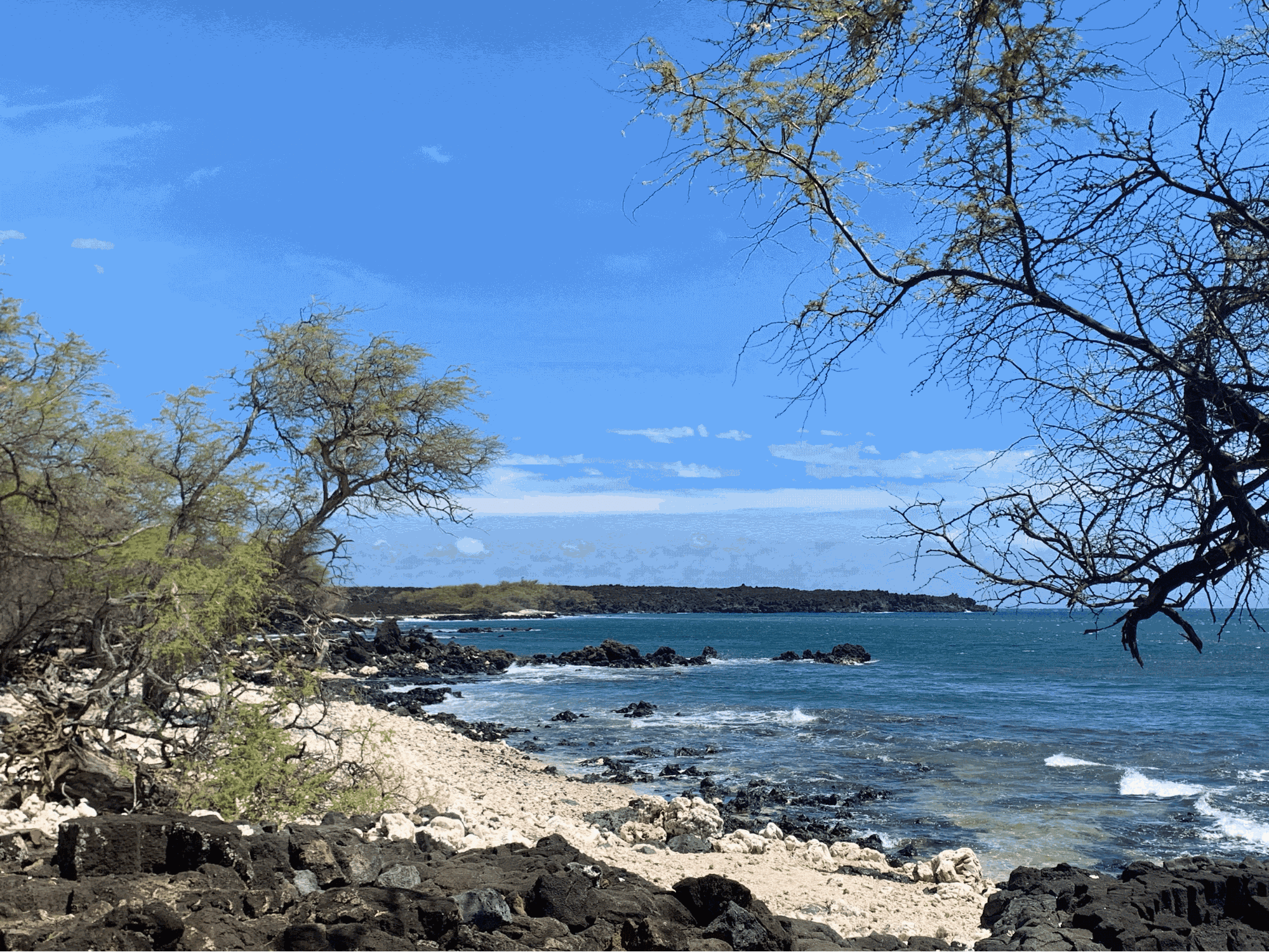 Pools of Wonder: The Unique Anchialine Ponds of Hawai’i